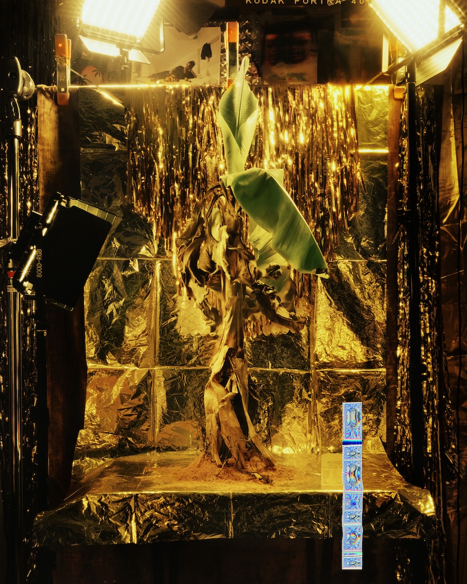 Easton Pribble Lecture Series: Samantha Box | MUNSON